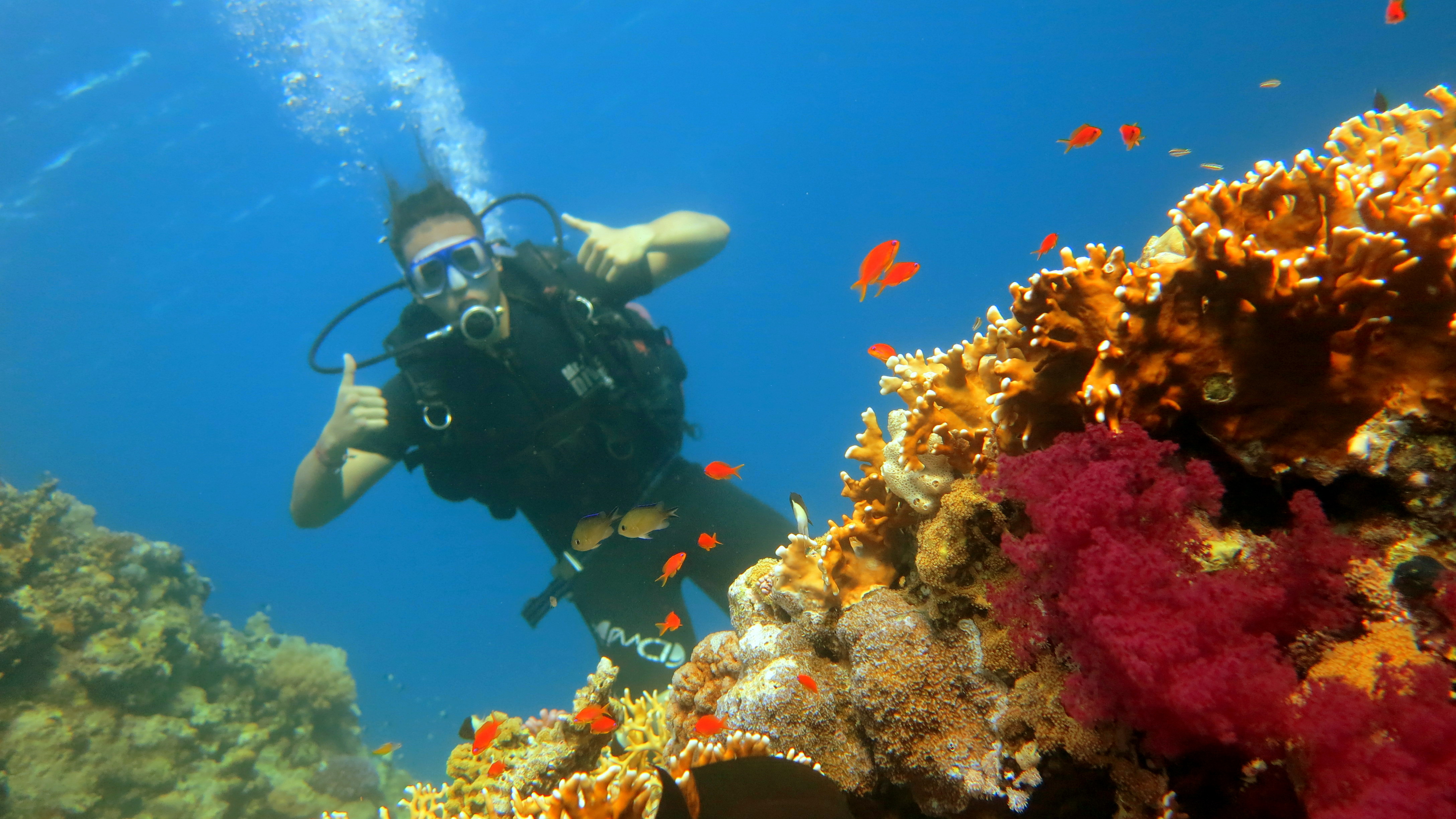 DevOps Engineer Portfolio